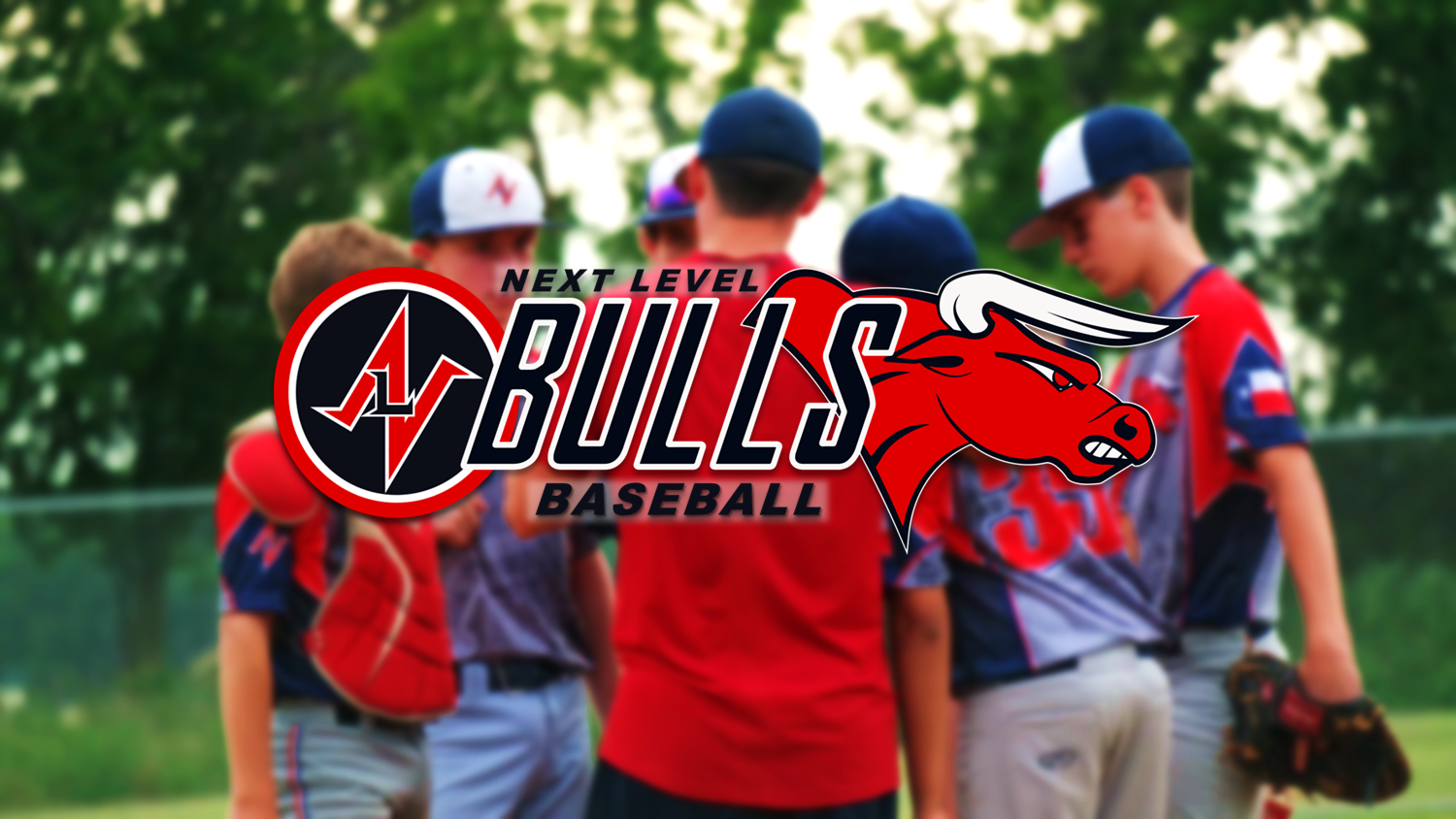 NL-BULLS_006 | Next Level Sports Group - Premier Baseball, Softball ...